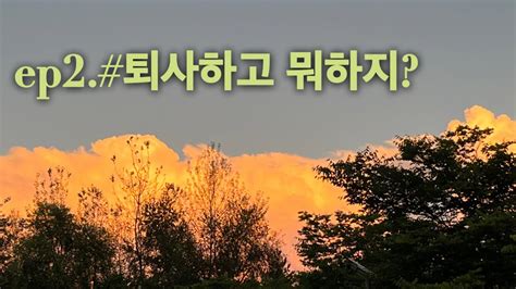 Ep2퇴사후 뭐하지 퇴사 후 백수 생활 시작 별탈없이 흘러가는 시간 우선 책 읽으면서 쉬어볼까 Youtube