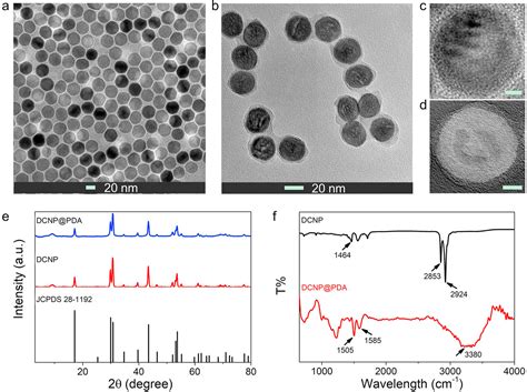 Polydopamine Coated Downconversion Nanoparticle As An Efficient Dual Modal Near Infrared Ii
