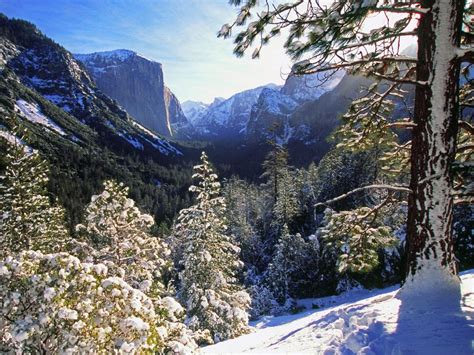 Зима красивые обои рабочего стола картинки скачать