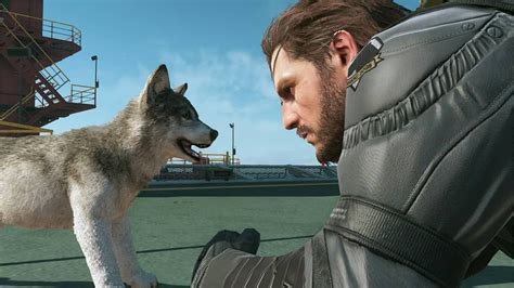 Mgs Dd