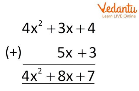 Monomials Binomials Trinomials And Polynomials Explained