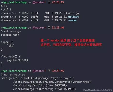 Go 通过 Import 导入包go Import Csdn博客