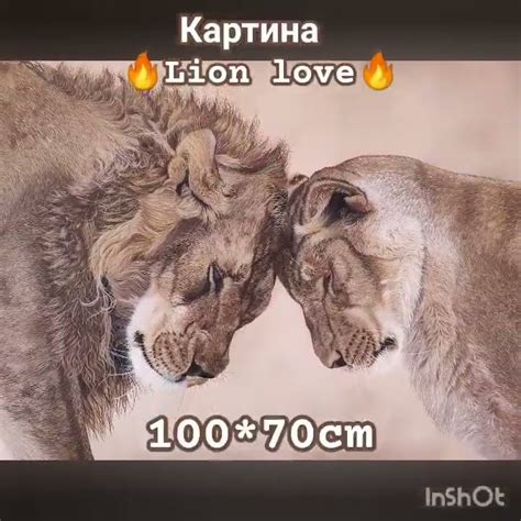 Готова картина левів у стилі гіперреалізм акриловими фарбами на холсті 100 70 см 130 годин