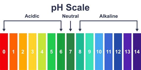 Premium Vector Chart Ph Acidic Neutral And Alkaline Scale Ph Value