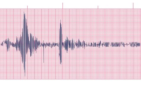 Premium Vector Seismogram Of Seismic Activity Or Lie Detector Record On Pink Chart Paper