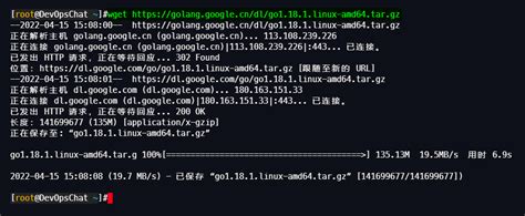 Debian 11 安装部署 Go 和设置环境变量debian安装go Csdn博客