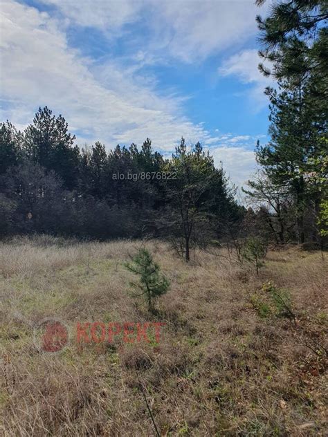 Богомилово Парцел за еднофамилна къща Продажба 657 кв м В регулация УПИ Без ток Без вода