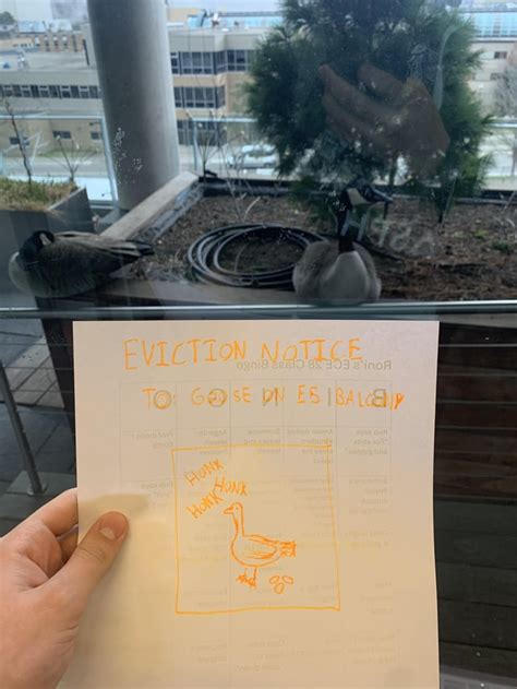 A Valid Solution To The Goose Problem R Uwaterloo