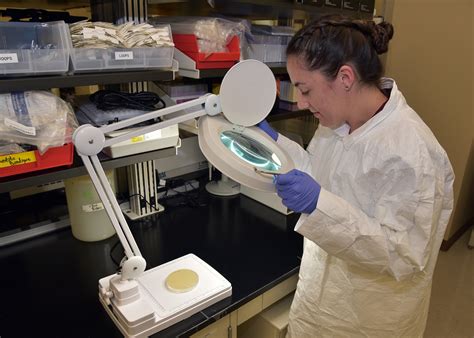 Naval Research Enterprise Internship Program Interns Present Research At Namru San Antonio