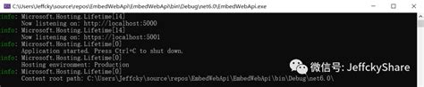 Net Core 控制台如何嵌入运行 Web Api网站？ 董川民