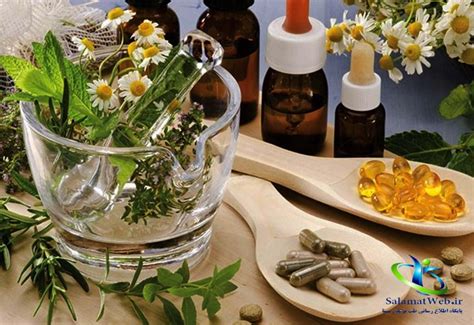 هورمون های جنسی زنانه کدامند ؟ گیاهان حاوی هورمون زنانه سلامت وب طب بوعلی سینا