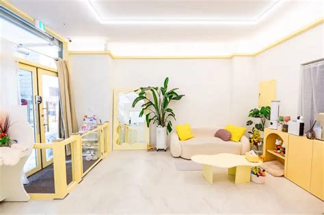 옐로우 컬러 포인트 캐주얼 모던 컨셉 10평 애견미용샵 인테리어 금천구 가산동