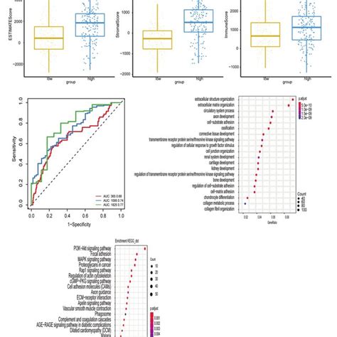Abc The Boxplot Shows The Infiltration Distribution Status Of Gc