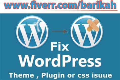 Fix Wordpress Errors Html Css Issues And Customize Theme By Barikah