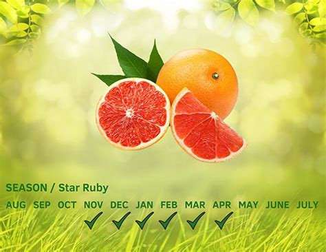Star Ruby Nrc Tarım