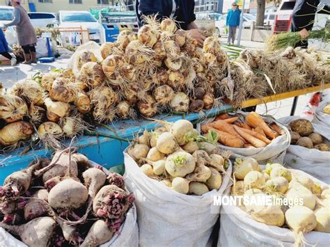 БАЯН ӨЛГИЙ Хөдөө аж ахуйн бүтээгдэхүүний үзэсгэлэн худалдаа болж байна