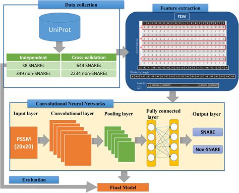 Kernel Pooling For Convolutional Neural Networks Digitalpictures Images