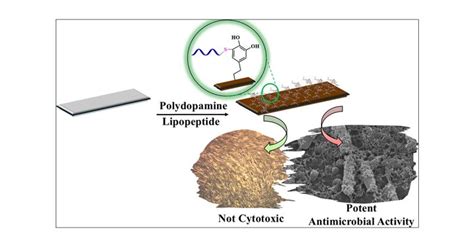 Saurabh Lamba On Linkedin Polydopamine Mediated Antimicrobial