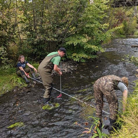 Stream And Dna Metabarcoding Living Lakes Canada