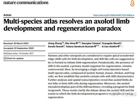 Nc 多物种单细胞图谱解决了一个蝾螈肢体发育和再生的悖论 知乎