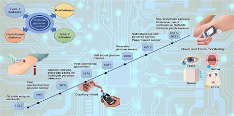 Glucose Biosensors In Clinical Practice Principles Limits And