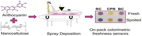 Graphical Abstract Image Eurekalert Science News Releases