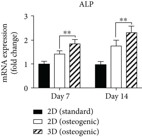 Western Blot Analysis Was Used To Determine The Expression Of Col I