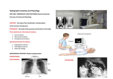 Radiographic Anatomy And Physiology Edited Radiographic Anatomy And Physiology Part One