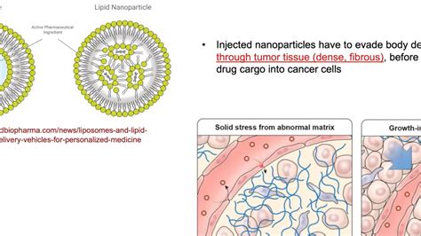 Modeling Molecular Dynamics For Drug Delivery Sc23