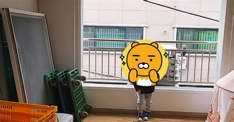 1년 전 임시로 거주할 집에 이사를 진행했습니다 인상 좋은 사장님께서 방문 오셔서 친절하게 견적내주시는 모습에 믿고 진행을 했어요 그런데 정작 이사를 할 때는 사장님은