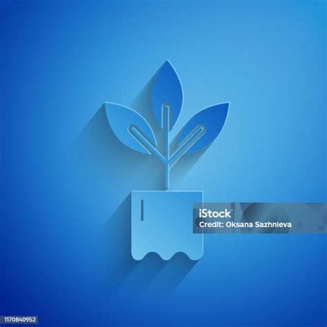 파란색 배경에 격리 병 아이콘에 종이 컷 식물 종자 및 묘목 나뭇잎 기호입니다 잎 자연입니다 종이 아트 스타일입니다 벡터 일러스트레이션 0명에 대한 스톡 벡터 아트 및 기타