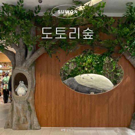 수원 도토리숲 Ak 5층에 오픈 토토로가 있는 지브리 공식 굿즈샵 수원역 놀거리 추천 네이버 블로그
