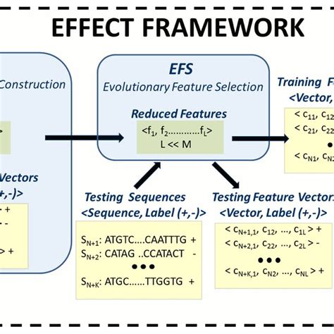 Iupac Code Is Adapted From 100 Download Table