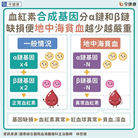 檢查有地中海貧血，症狀卻另有別因？醫詳解：要再檢查！