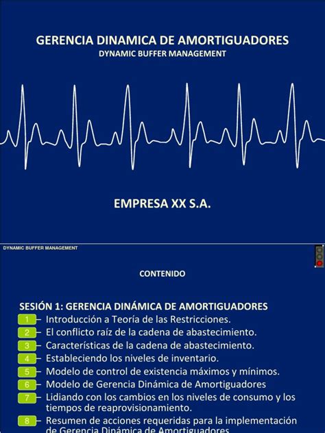 Dynamic Buffer Management Pdf Solución Tampón Inventario