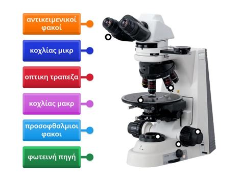 Microscope Labelled Diagram