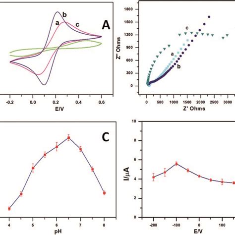 A Cyclic Voltammetric Studies In The Presence Of 1 Mm Fecn6 3−4−