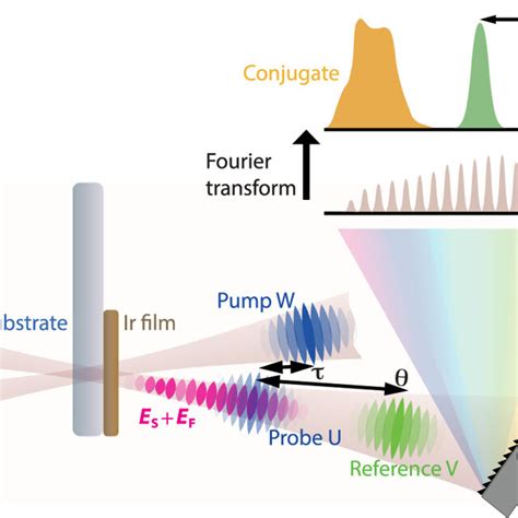 Nonlinear Polarization Holography Nonlinear Polarization Holography Download Scientific