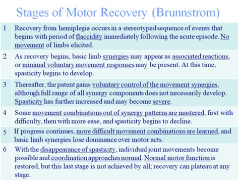 Adult Exam 2 Sensorimotor Ndt Pnf Flashcards Quizlet