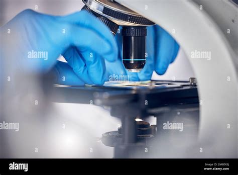 microscope science and scientist hands analysis of data or dna sample