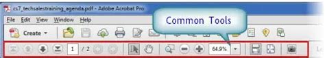 Customizing The Acrobat Xi Interface