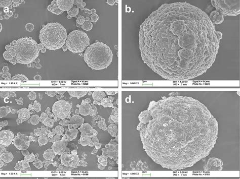 The SEM Images Of Composite Microspheres And Macro Porous Microspheres