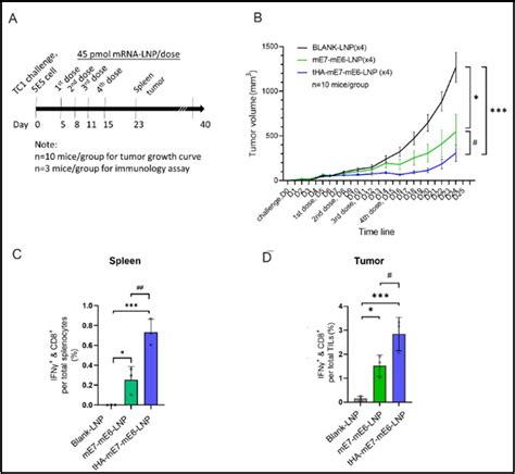 Virogin Announces Its Publication Of Hpv Mrna Cancer Vaccine Expressing Apc Targeting Antigen In