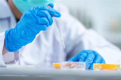 Simplifying Enumeration And Detection Methods In Food Microbiological Testing Food Consulting