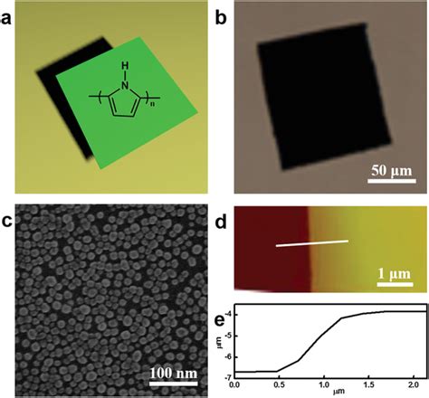 A Schematic Illustration B Optical And C Enlarged SEM Image Of The Download Scientific