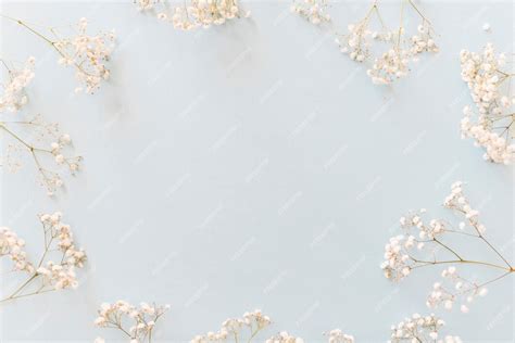 배경에 장식 식물 무료 사진