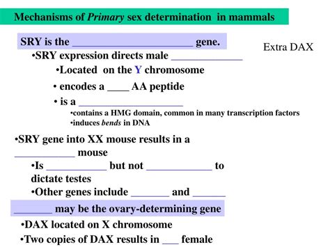 PPT Chapter 17 Sex Determination PowerPoint Presentation Free Download ID 3288339