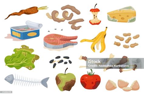 천연 유기 폐기물 상한 야채 또는 과일 썩은 음식 유통 기한이 지난 곰팡이 제품 재활용 가능한 쓰레기 곰팡이가 핀 치즈 생선 통조림 냄새가 납니다 최근 벡터 세트 음식에