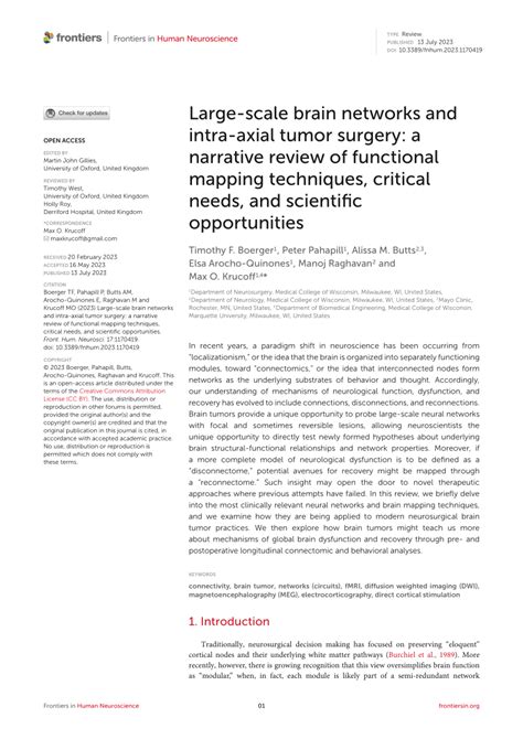 Pdf Large Scale Brain Networks And Intra Axial Tumor Surgery A Narrative Review Of Functional