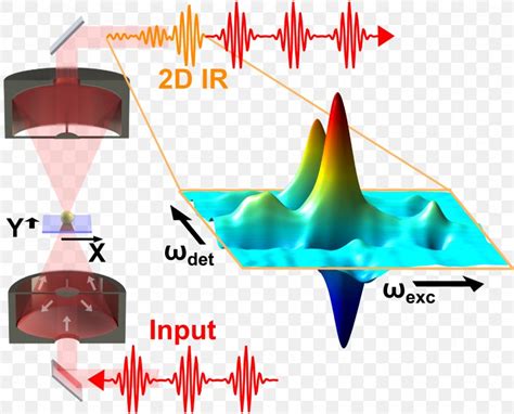 Two Dimensional Infrared Spectroscopy Two Dimensional Correlation